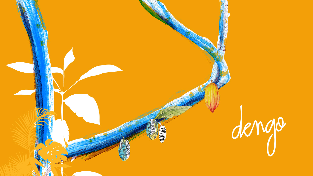 Dengo Chocolates – Material institucional